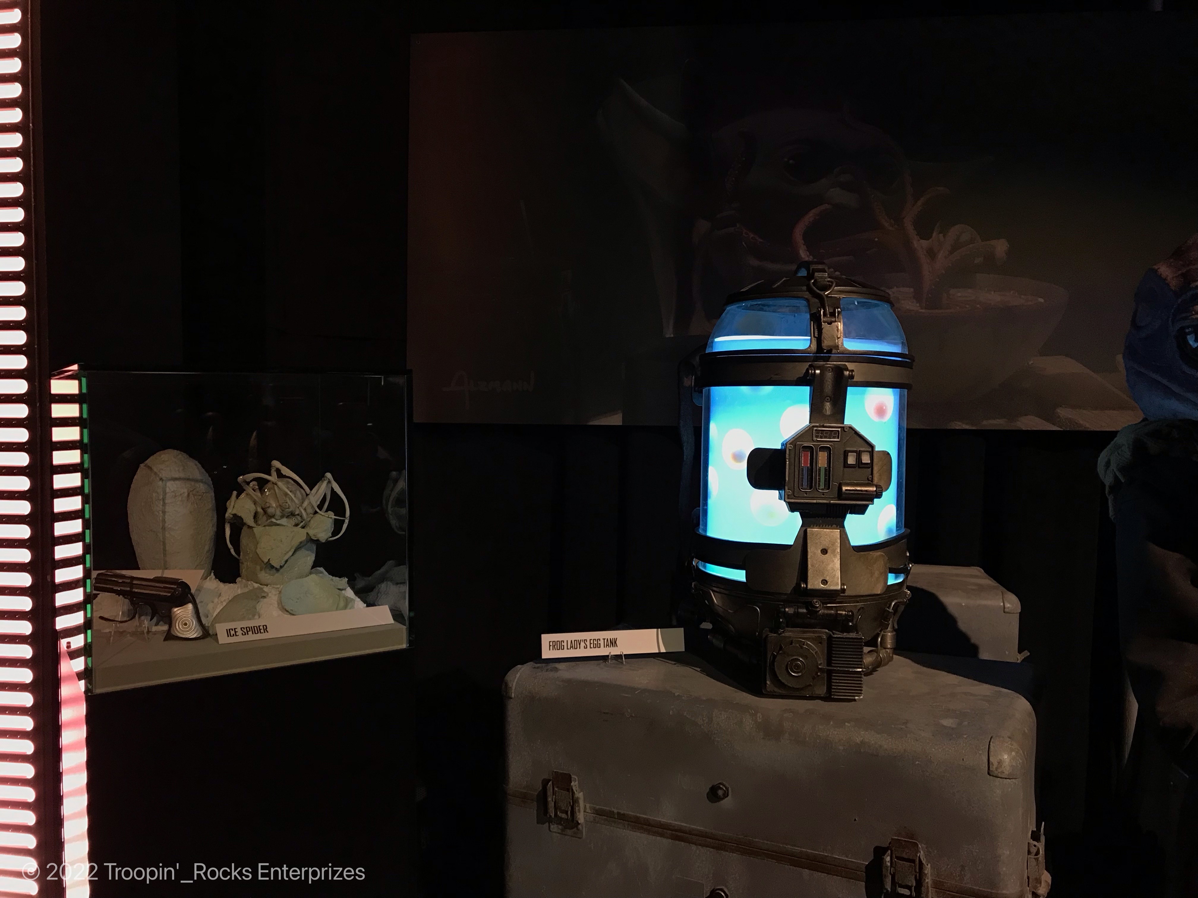 Frog Lady 15.jpg | Boba Fett Costume and Prop Maker Community - The ...