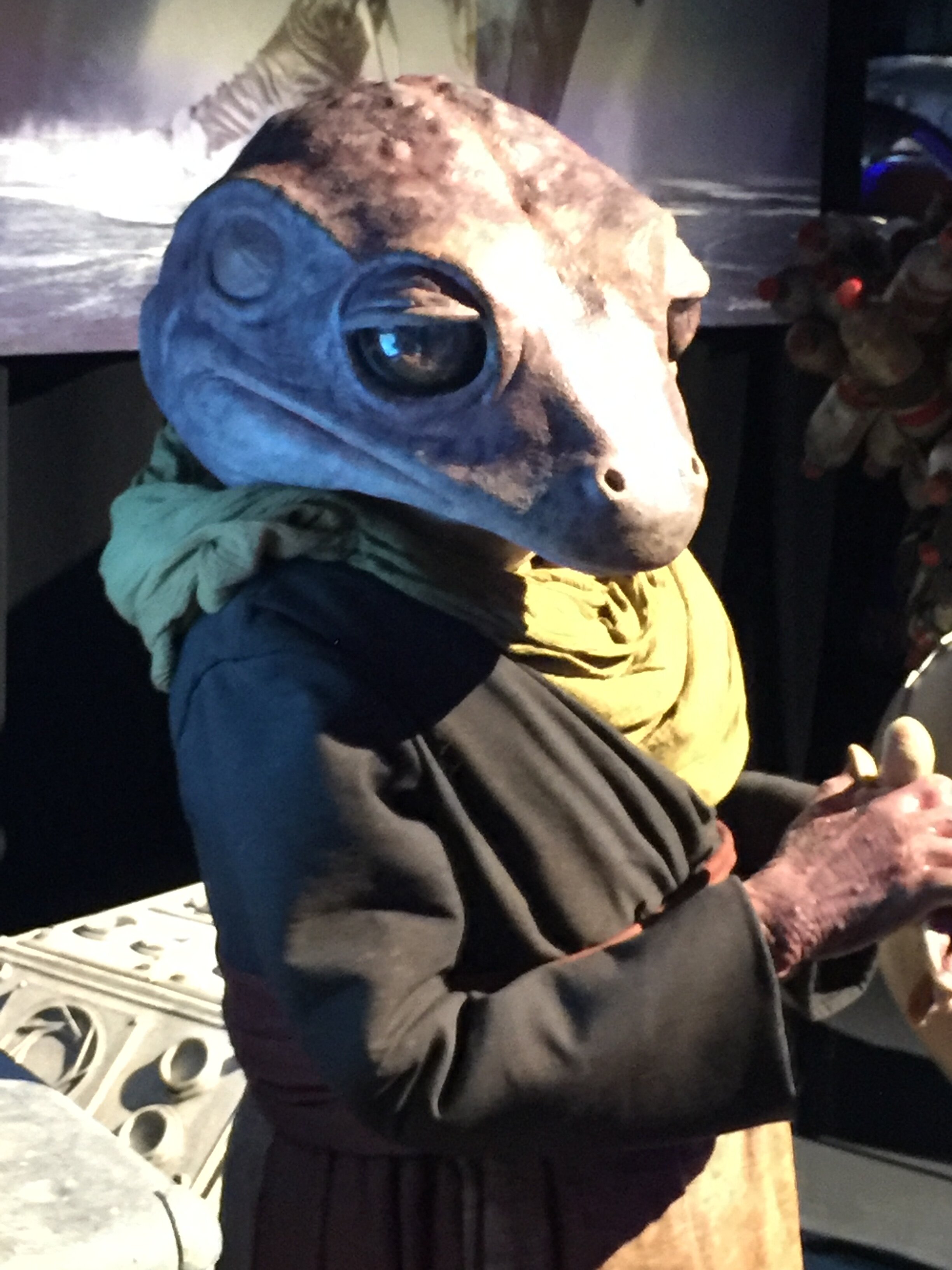 Frog Lady 21.jpg | Boba Fett Costume and Prop Maker Community - The ...