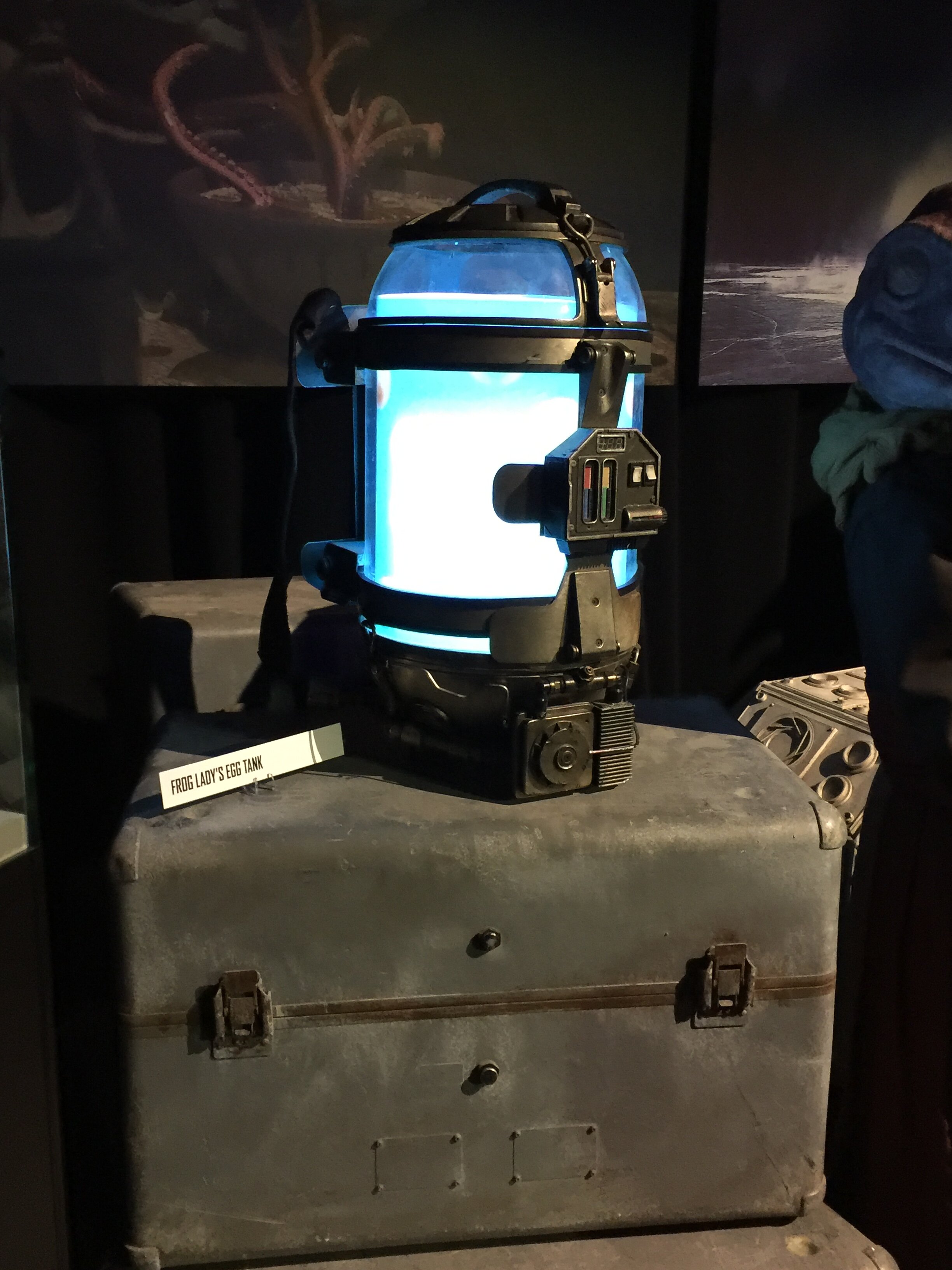 Frog Lady 26.jpg | Boba Fett Costume and Prop Maker Community - The ...