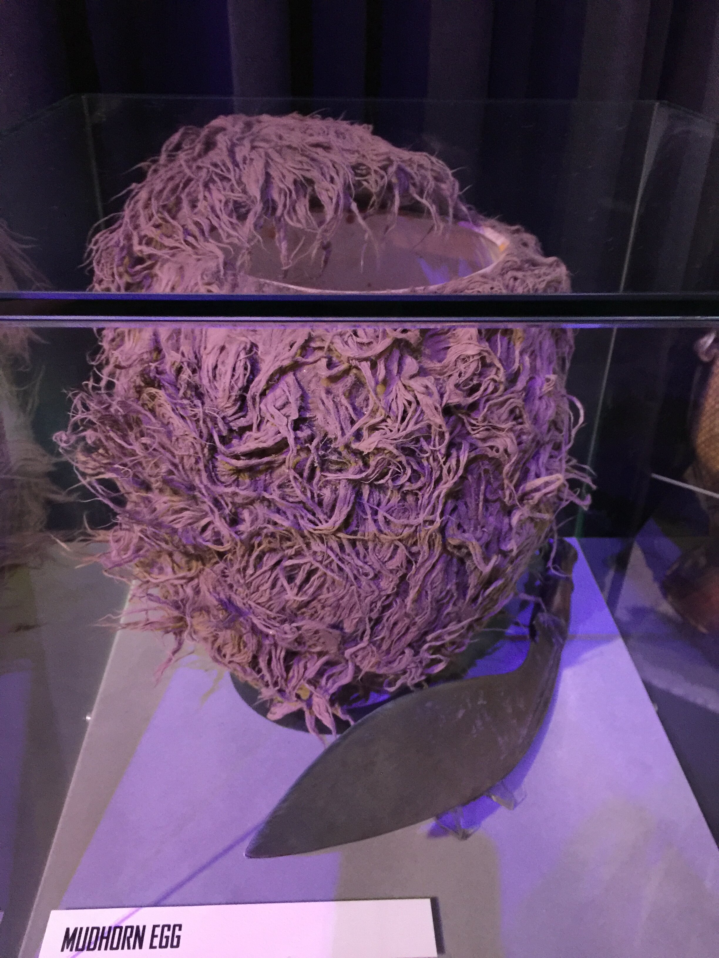 Mudhorn Egg 04.jpg | Boba Fett Costume and Prop Maker Community - The ...